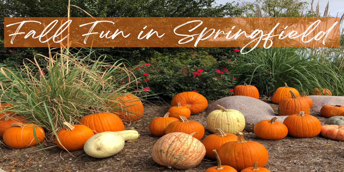 Visit Springfield Illinois | Travel & Tourism | Official Site